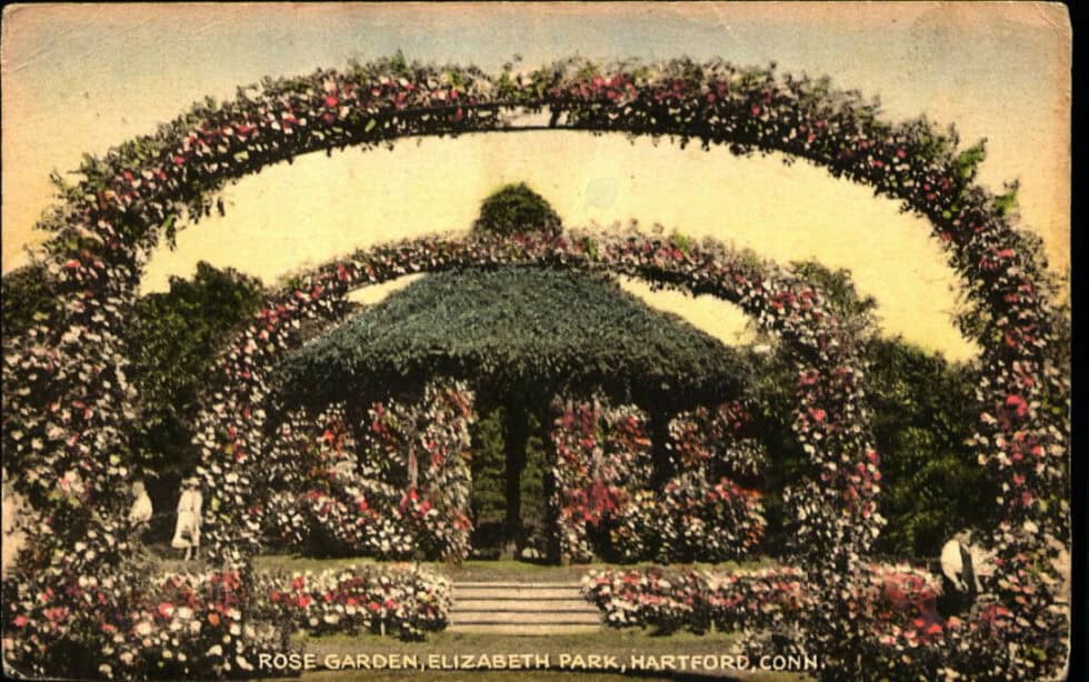 News | Elizabeth Park Conservancy